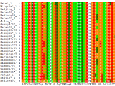 BCL Align multiple sequence alignment and fold recognition – Meiler Lab