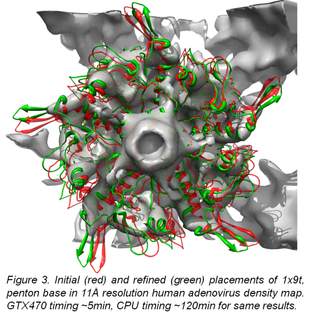 GPU-accelerated rigid body fitting of atomic structures into electron ...