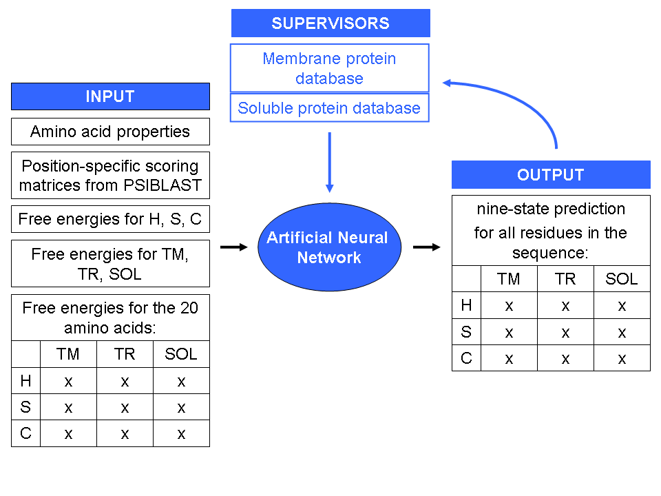 Bcl Jufo Simultaneous Prediction Of Protein Secondary Structure And