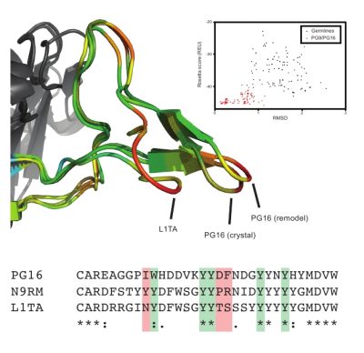 Antibody/Antigens Interactions – Meiler Lab