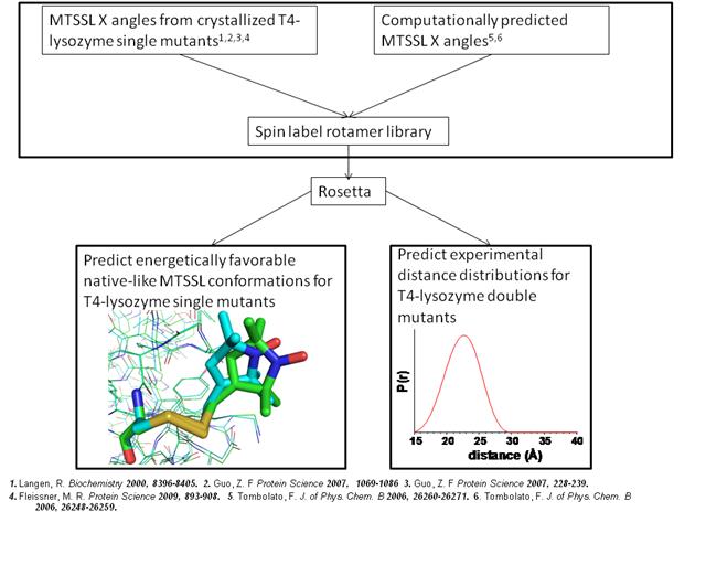 EPR guided protein structure prediction using the BCL – Meiler Lab EPR guided protein structure prediction using the BCL – Meiler Lab
