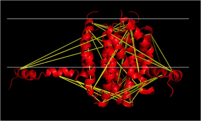 Membrane Protein Structure Prediction using sparse NMR restraints ... Membrane Protein Structure Prediction using sparse NMR restraints ...