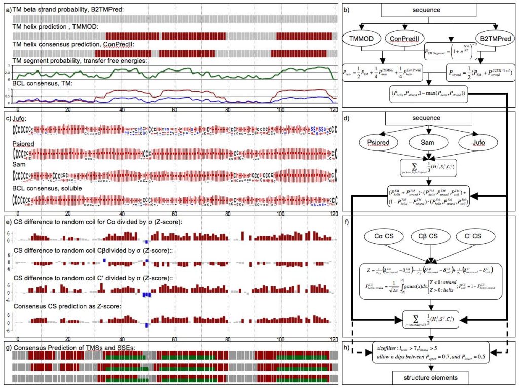 Protein Structure Prediction – Meiler Lab